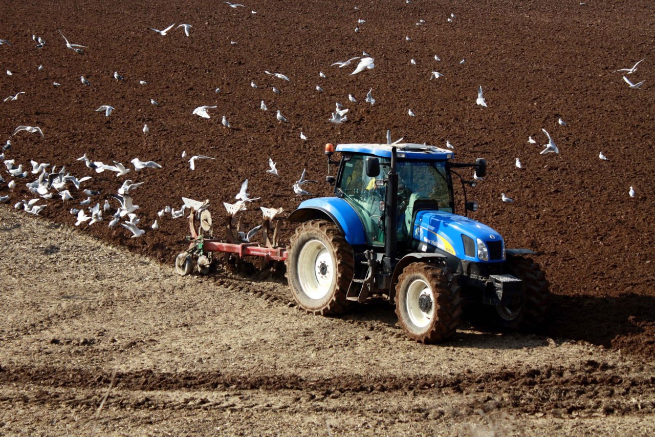 Case studies - NEOF - NERC Environmental Omics Facility