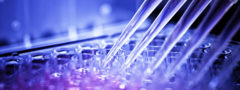 Opportunities - NEOF - NERC Environmental Omics Facility